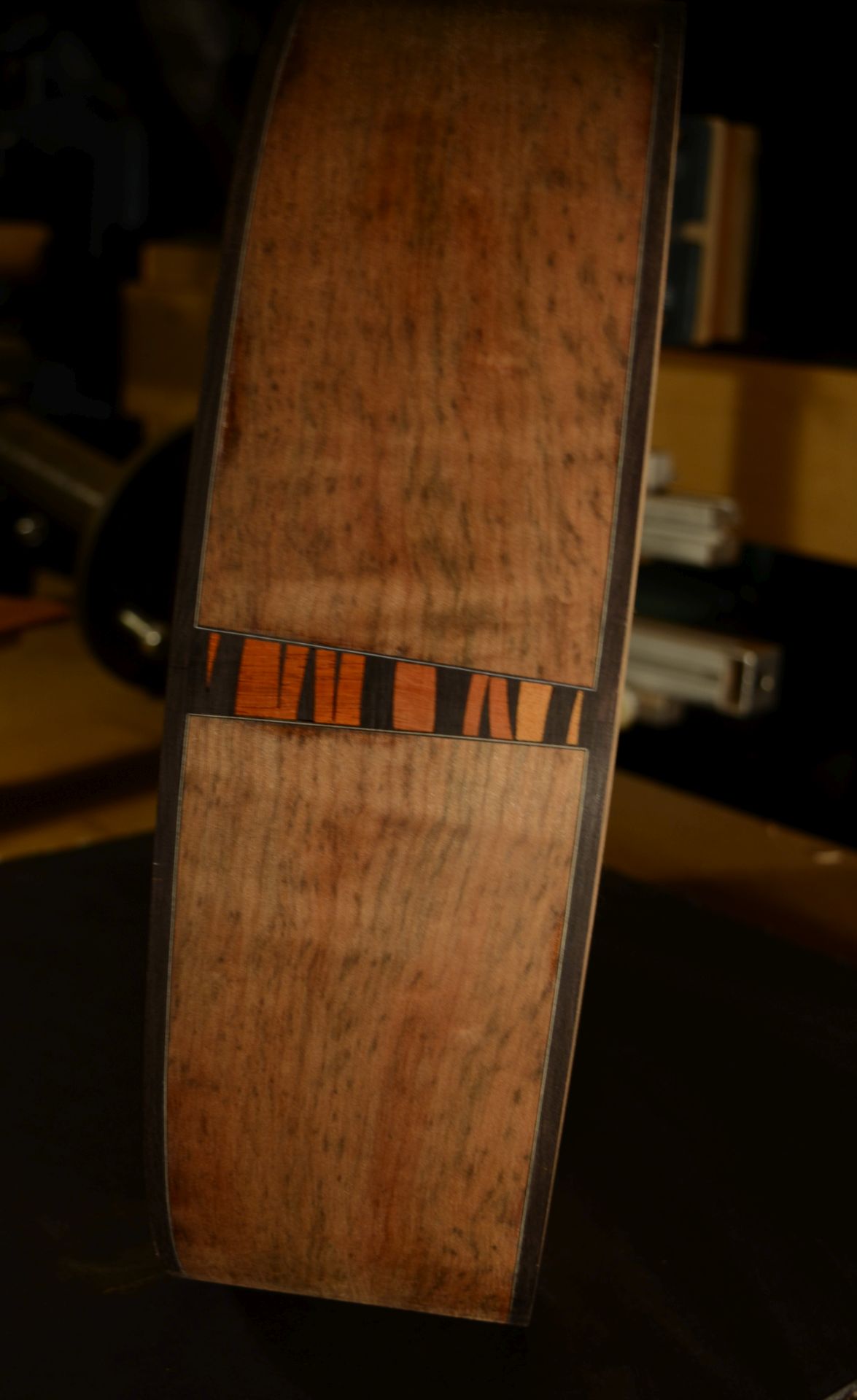 Myrtle the Tiger - The Acoustic Guitar Forum